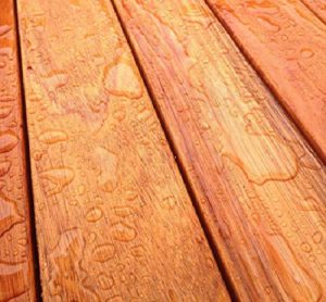 Madeira Cambará: Descubra Preços e Fotos Inspiradoras!