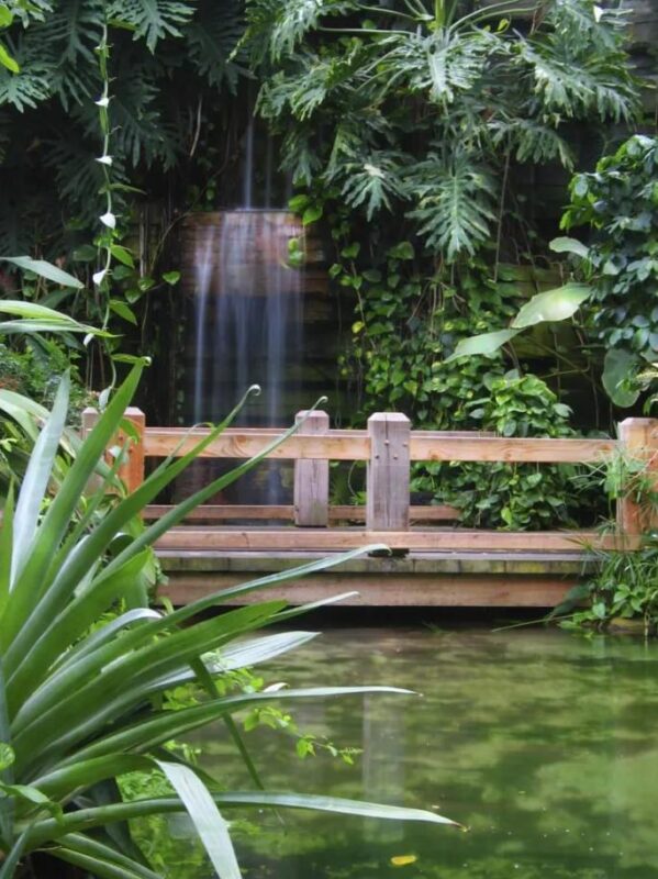 Lago Ornamental: como fazer + 6 inspirações!